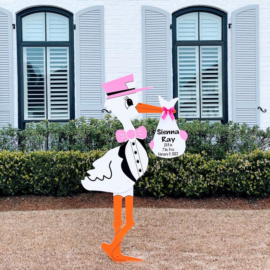 Boy/Girl Stork Birth Announcement Yard Sign - Pittsburgh, Pennsylvania